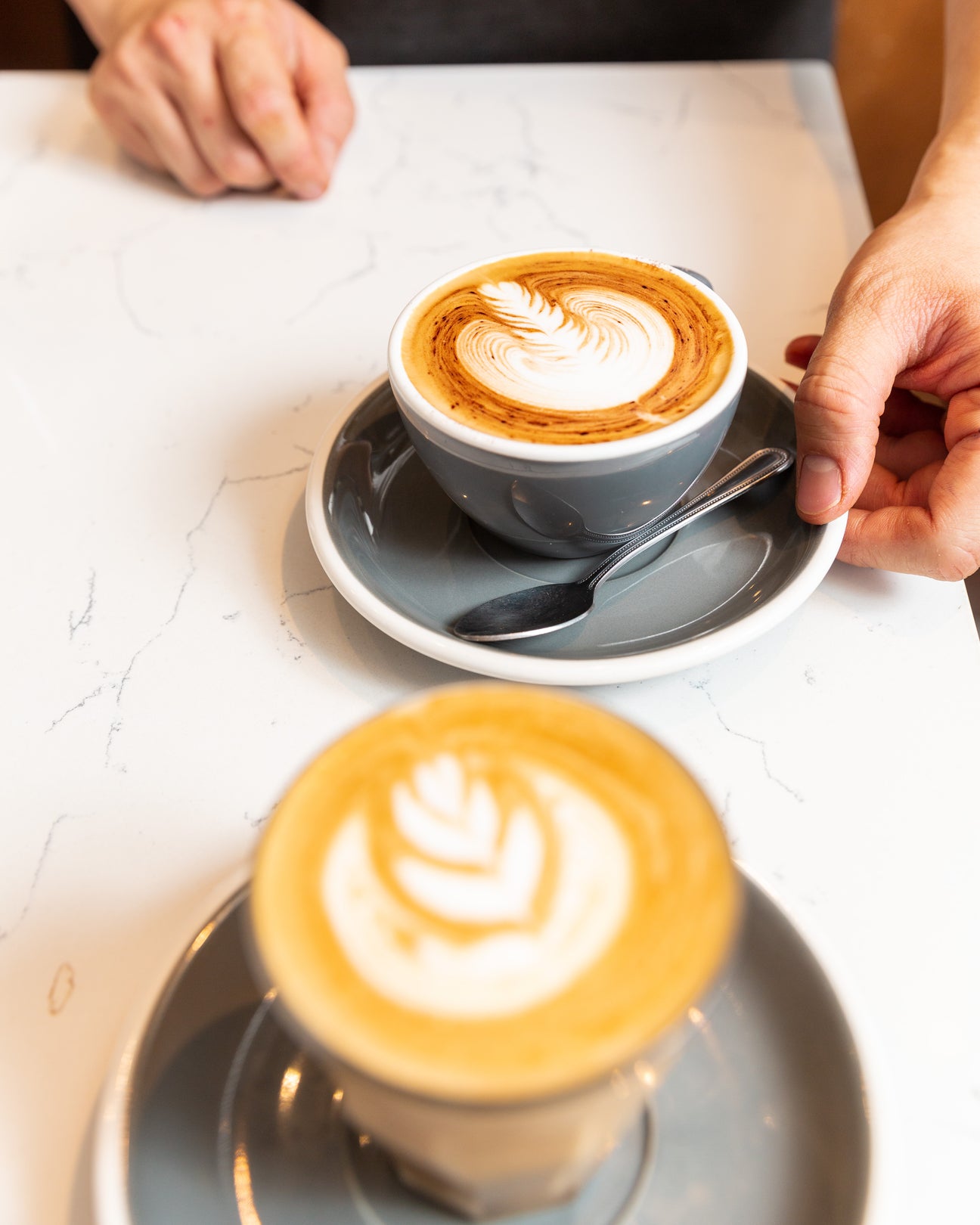 ASLAN Coffee - Coffee Wholesaler, Contract Roasting & Cafe – ASLAN ...